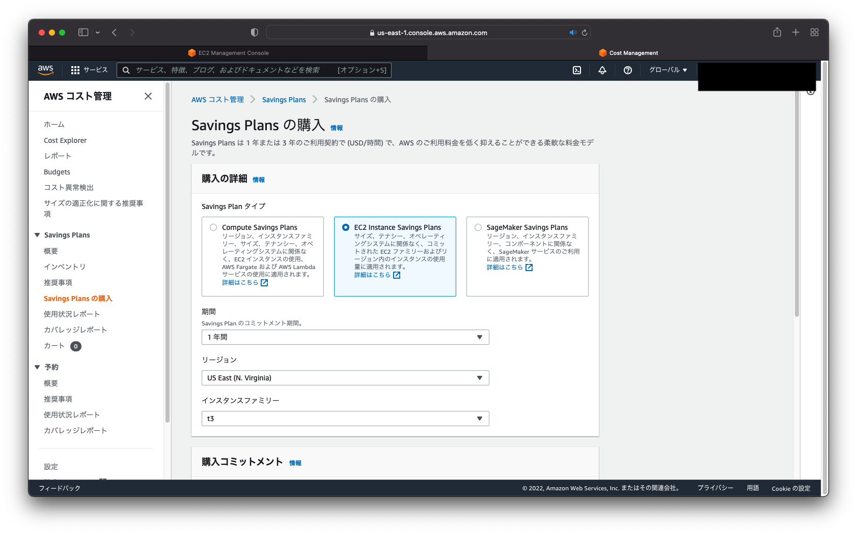 【AWS】前払いなしでSavings Plans【EC2】 ｜ ノースディテール